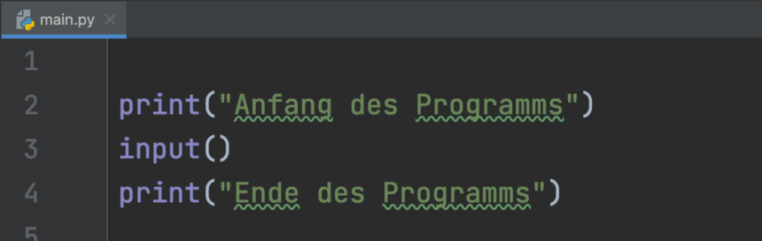 Die Python Input Funktion [mit Video] Funktionsweise einfach erklärt!