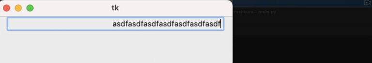 Das Tkinter Entry Widget [mit Video]
