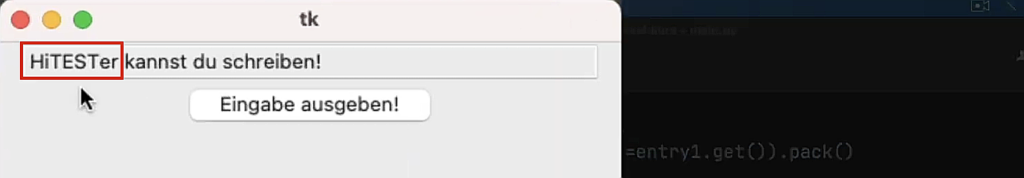 Das Tkinter Entry Widget [mit Video]