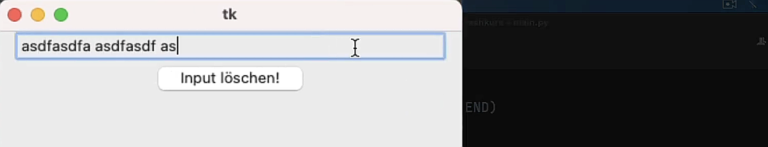 Das Tkinter Entry Widget [mit Video]