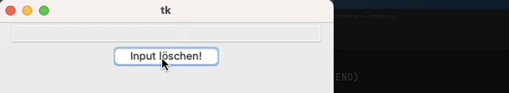 Das Tkinter Entry Widget [mit Video]