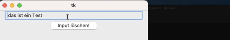 Das Tkinter Entry Widget [mit Video]