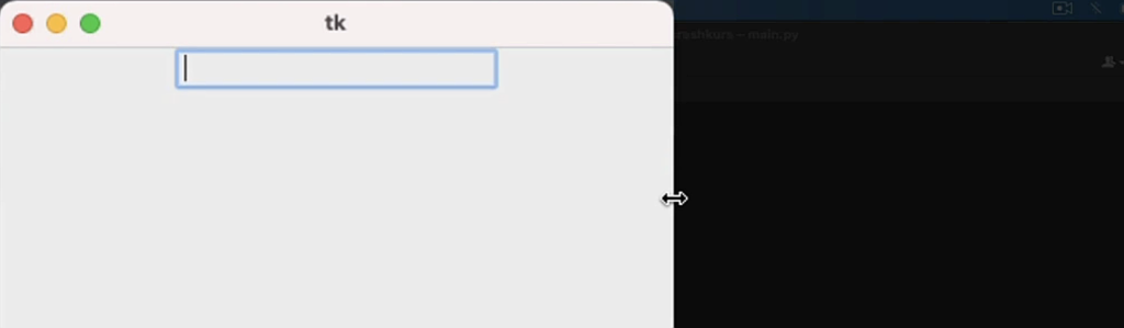 Das Tkinter Entry Widget [mit Video]