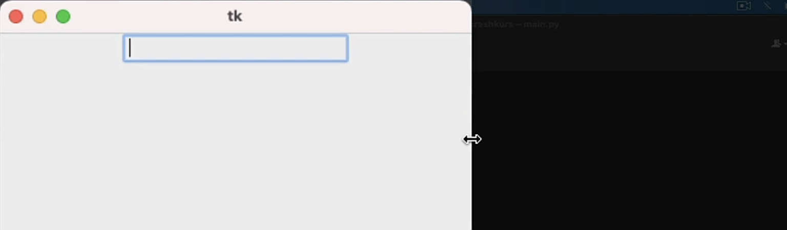 Das Tkinter Entry Widget [mit Video]